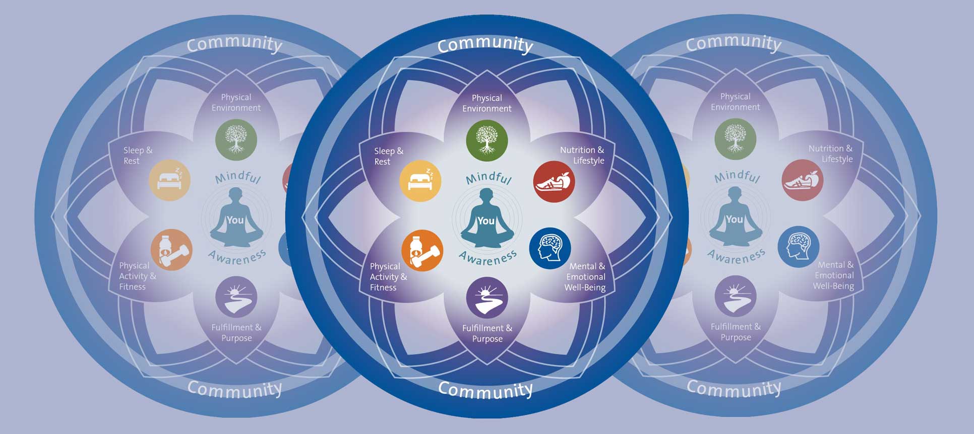 Integrative Medicine Wheel